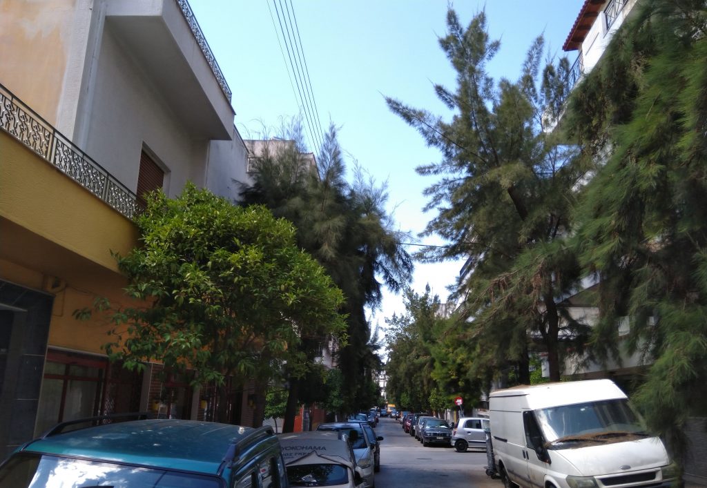 ΚΛΑΔΕΜΑ ΚΑΙ ΚΑΛΛΩΠΙΣΜΑ ΔΕΝΔΡΩΝ ΣΤΟ ΚΟΡΥΔΑΛΛΟ - Manuscript || Χειρόγραφο
